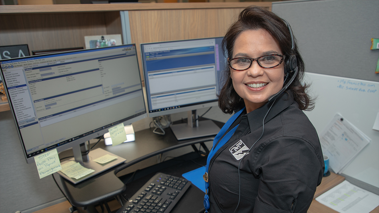 Pedernales Electric Cooperative: A Case Study - National Information ...